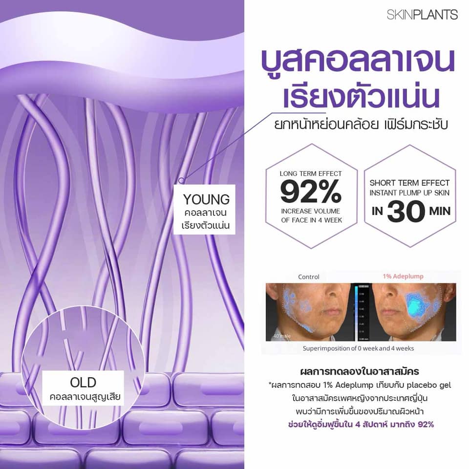 Baby Face Peptide Filler Serum – Skinplants