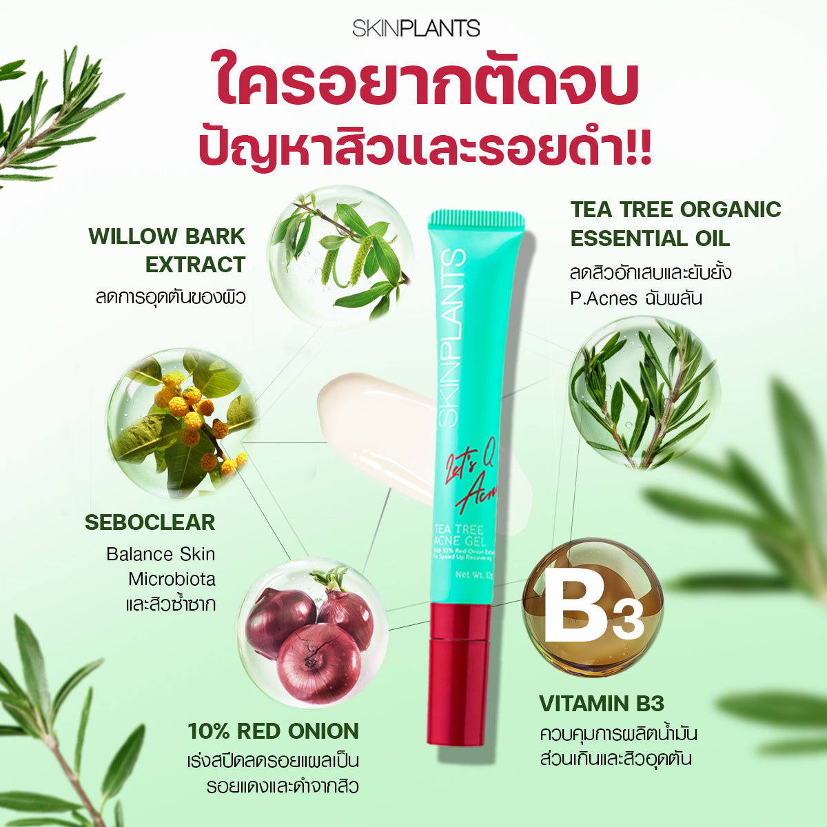 Tea Tree Acne Gel – Skinplants