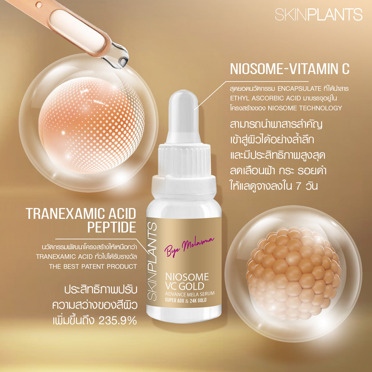 Niosome VC Gold Advance Mela Serum – Skinplants