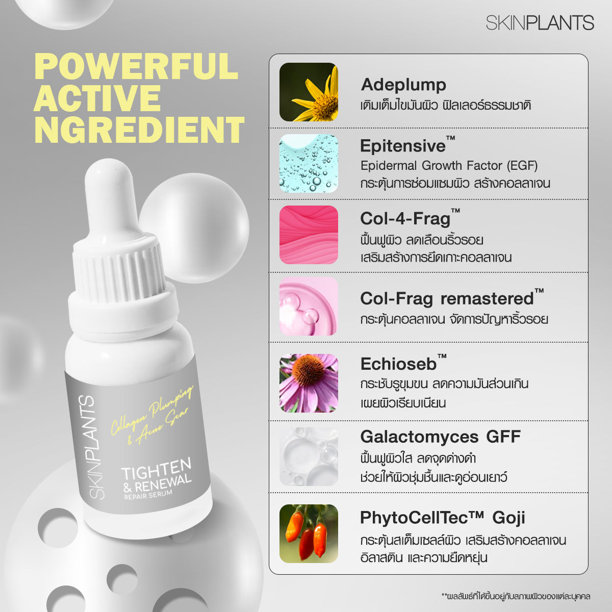 Tighten & Renewal Repair Serum 15 ml – Skinplants
