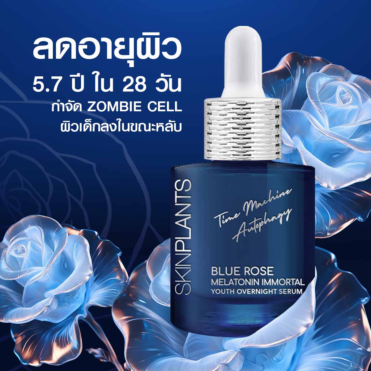 BLUE ROSE MELATONIN IMMORTAL YOUTH OVERNIGHT SERUM – Skinplants