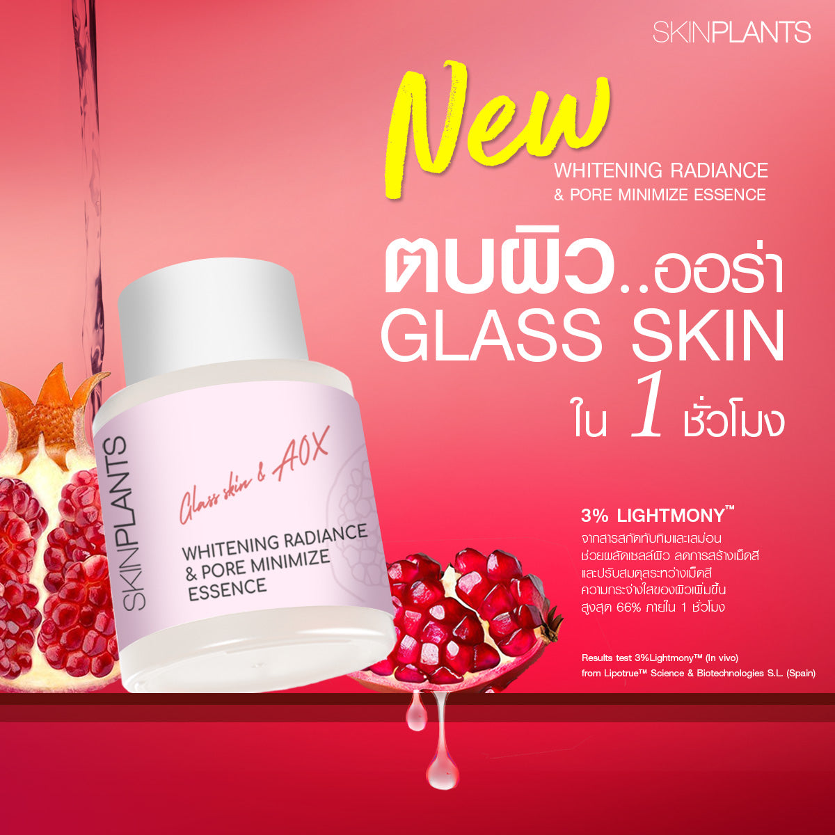 WHITENING RADIANCE & PORE MINIMIZE ESSENCE – Skinplants
